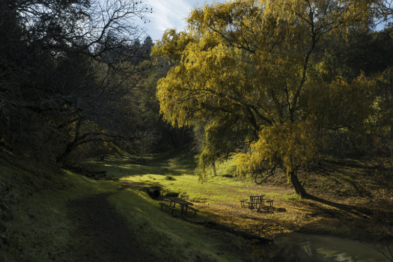 Oakmont Village Amenities | Take a Closer Look at Our Amenities